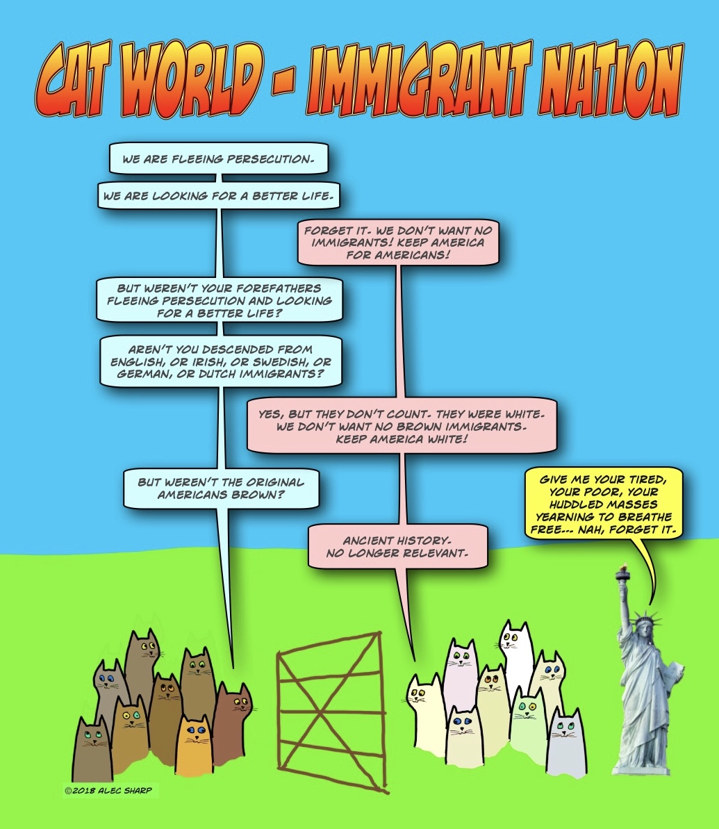 Immigrant Nation | Cat World