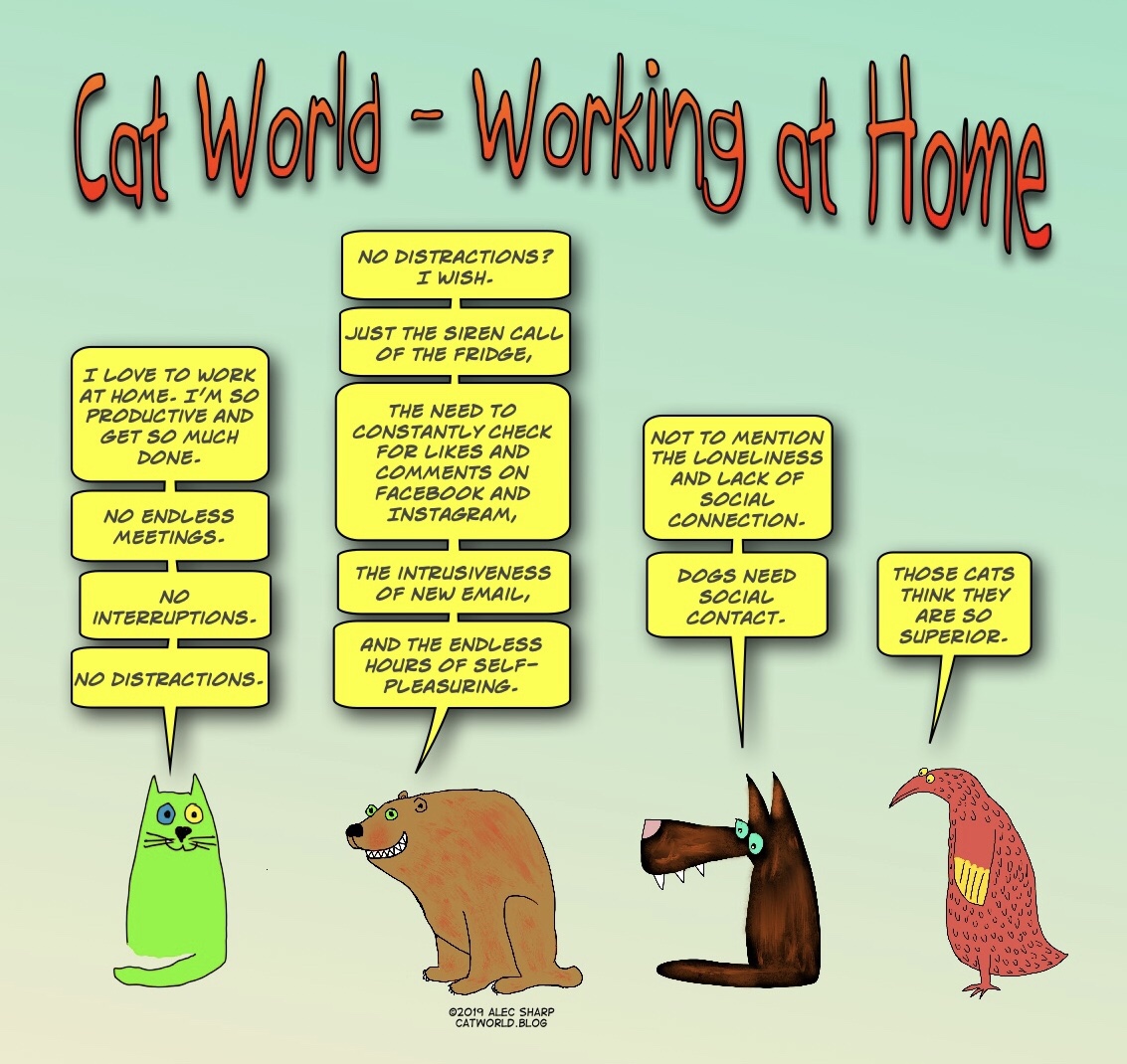 Working at Home | Cat World