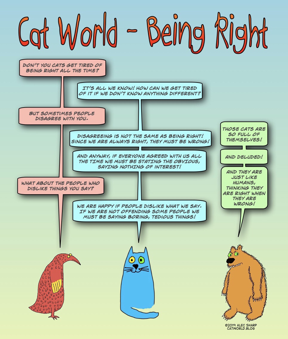 Being Right | Cat World