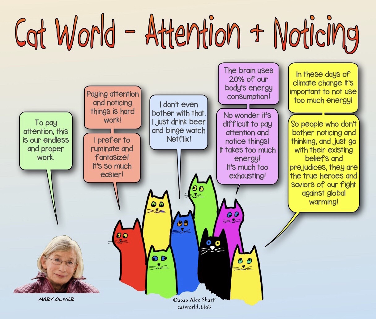 Attention and Noticing | Cat World