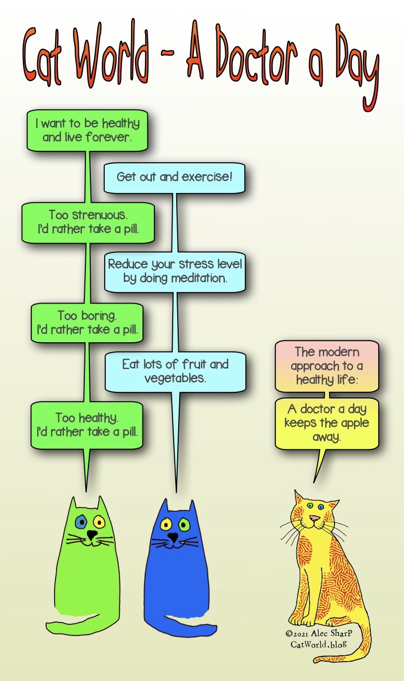 A Doctor a Day | Cat World