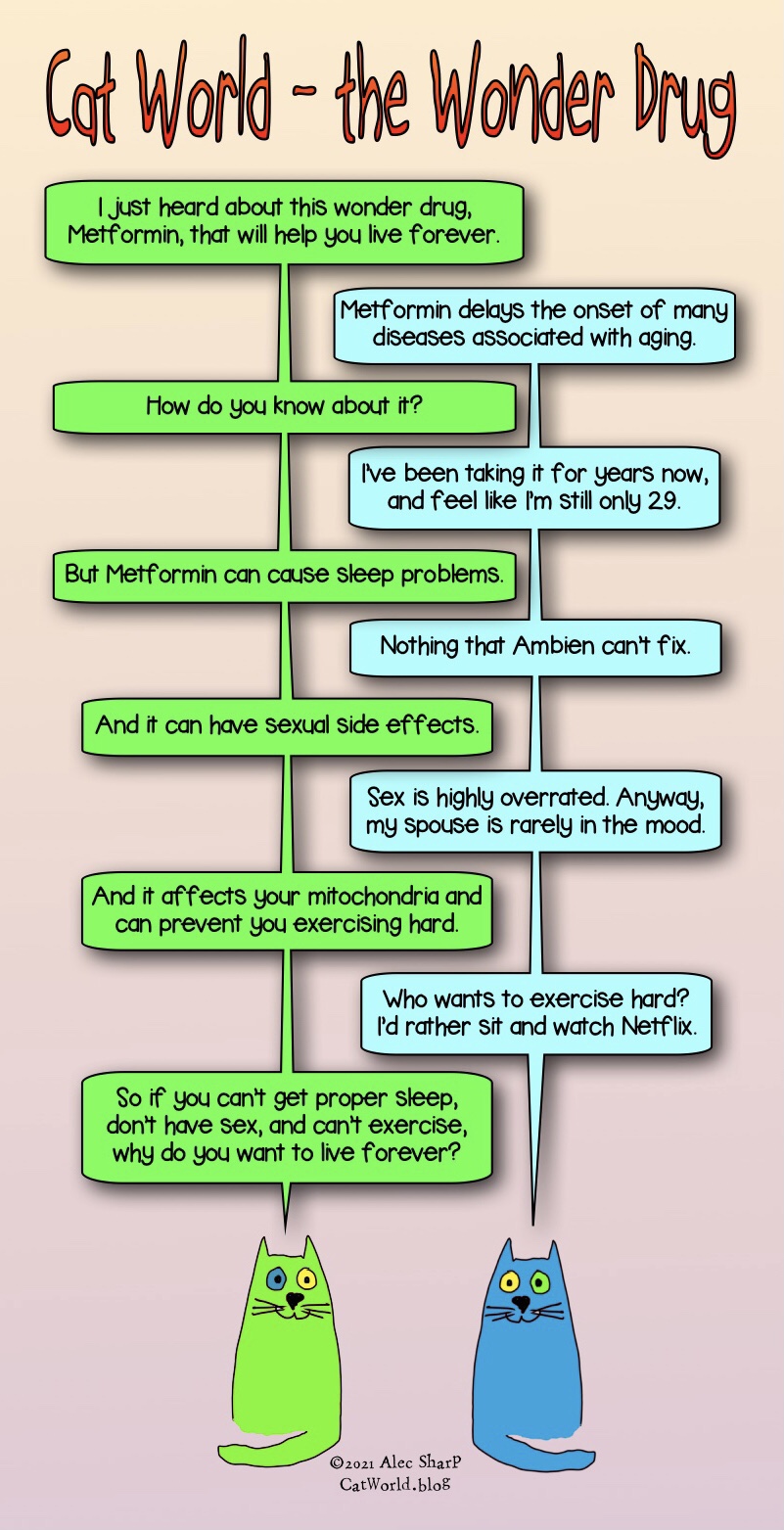 The Wonder Drug | Cat World