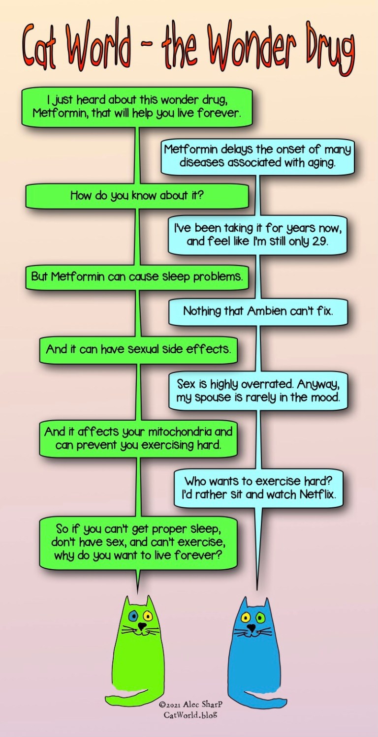 The Wonder Drug | Cat World