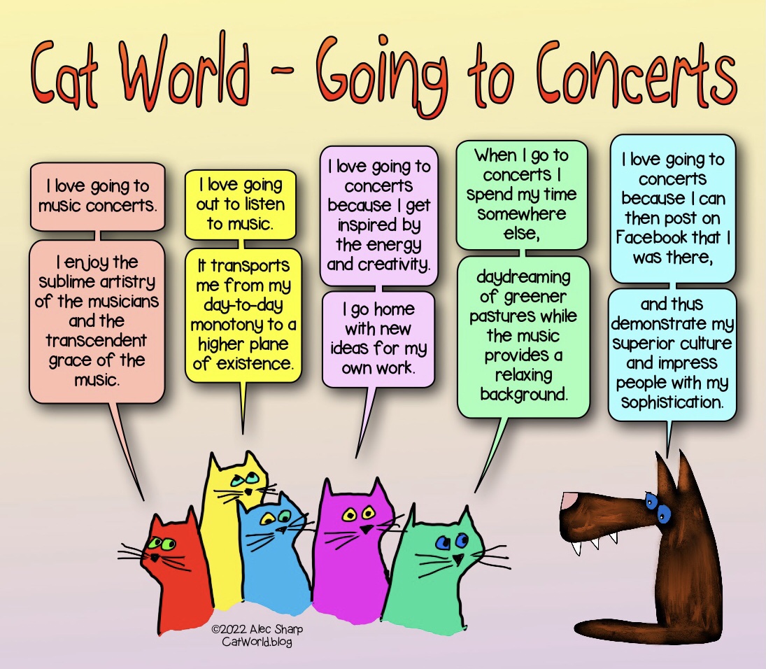 Going to Concerts | Cat World