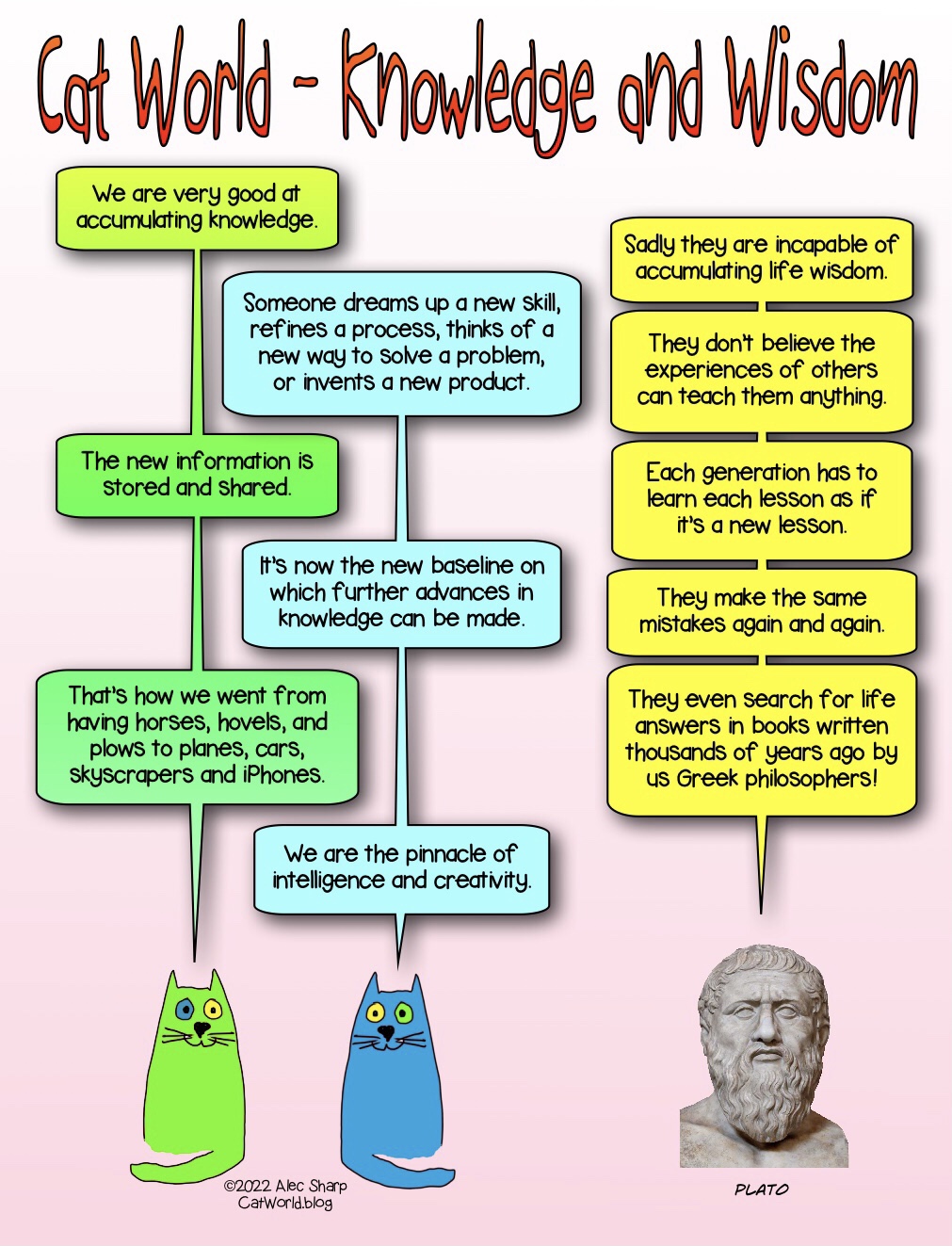 Knowledge and Wisdom | Cat World