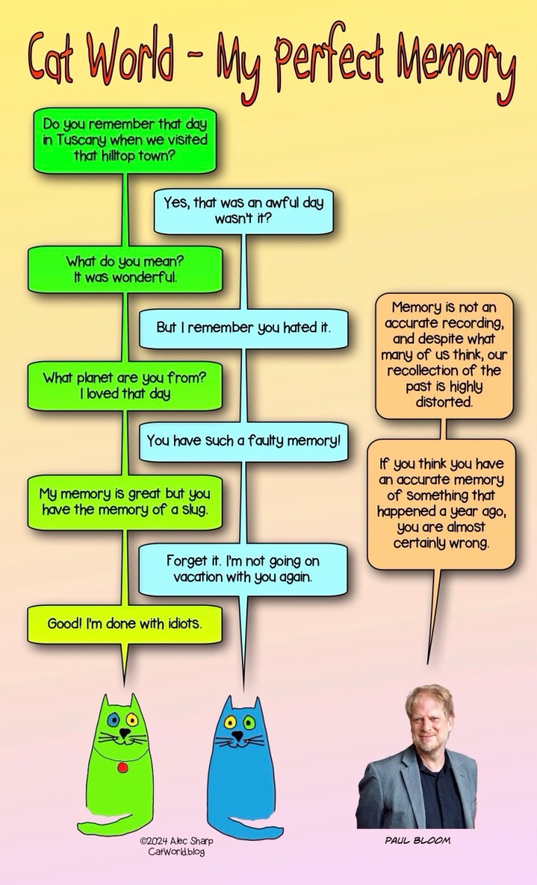 My Perfect Memory | Cat World