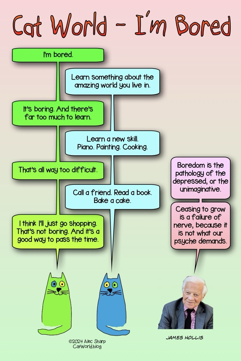I’m Bored | Cat World