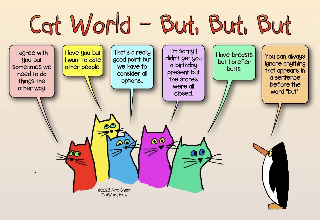 But, But, But | Cat World