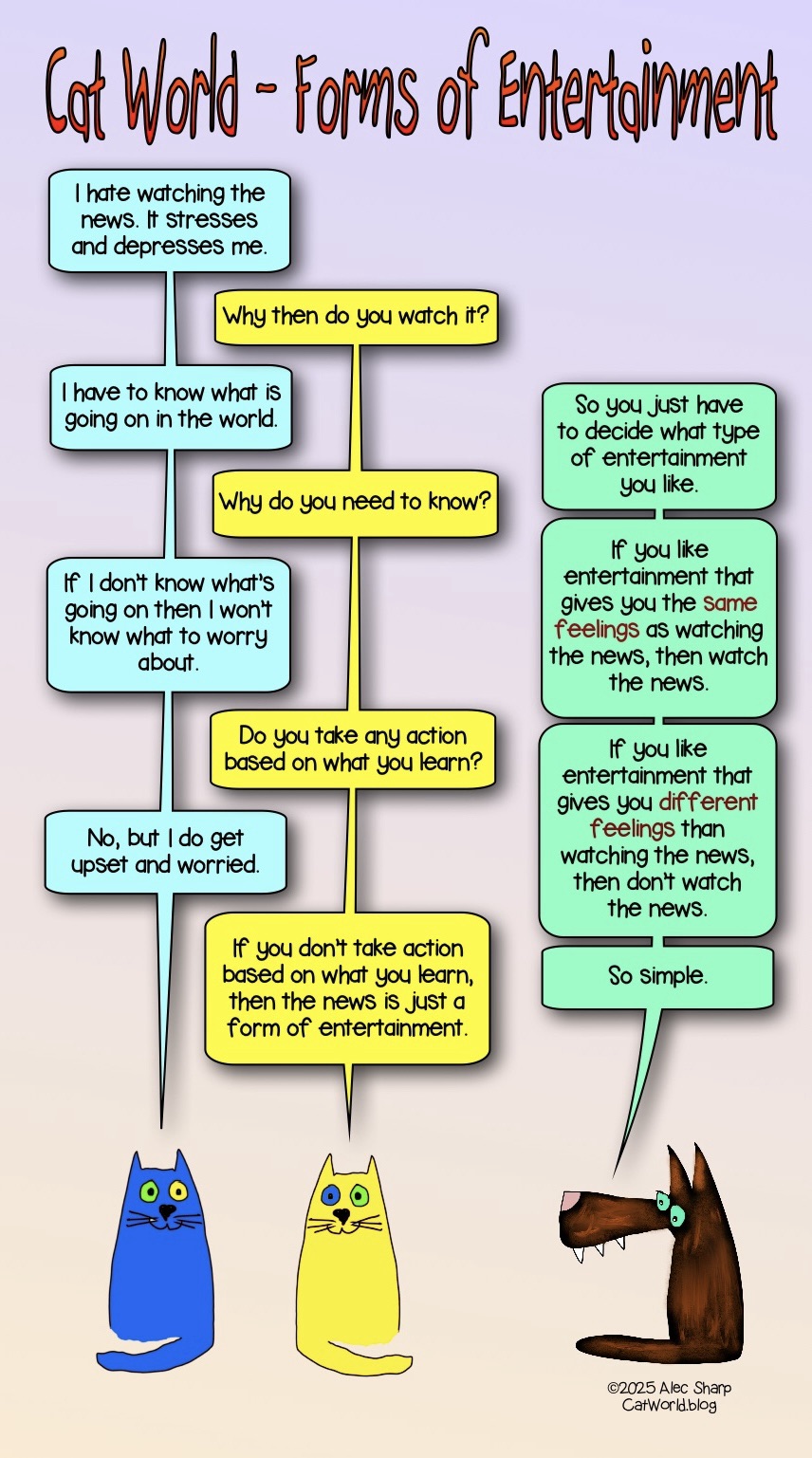 Forms of Entertainment | Cat World